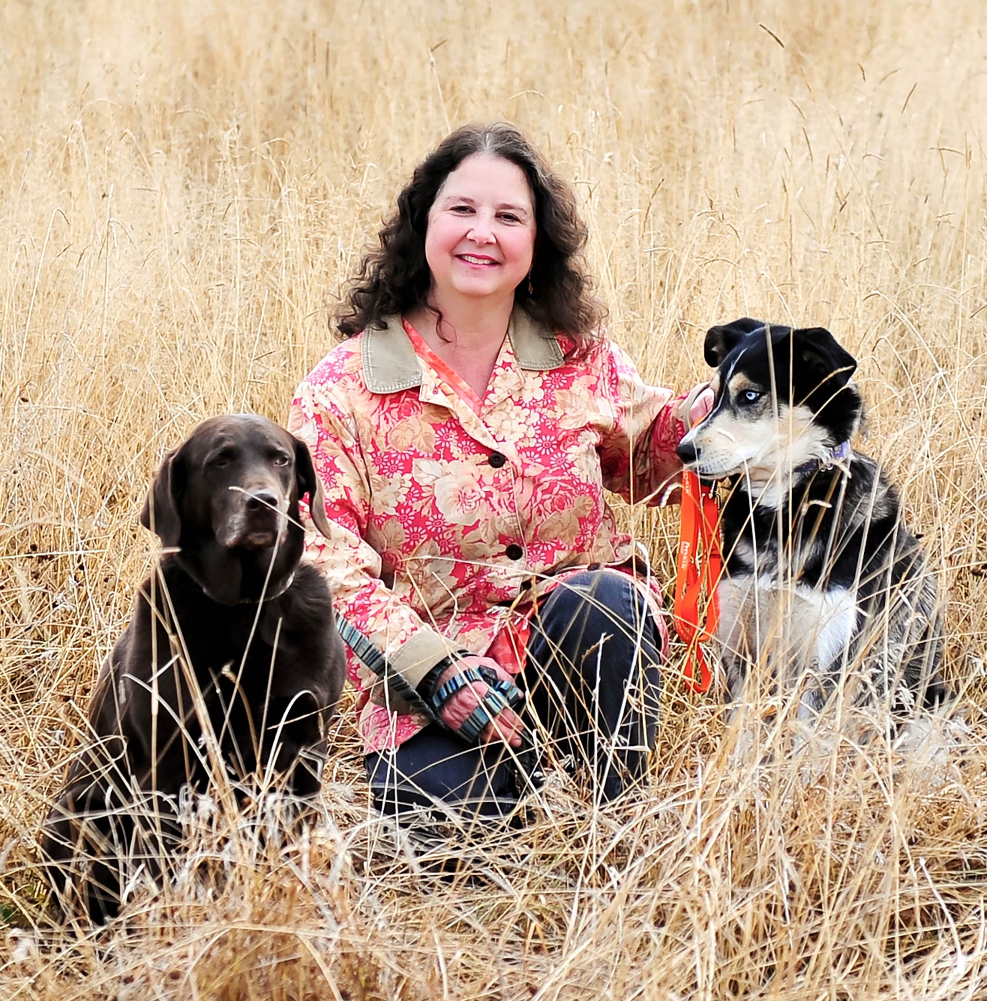 Frycreek Animal Clinic - Just another WordPress site